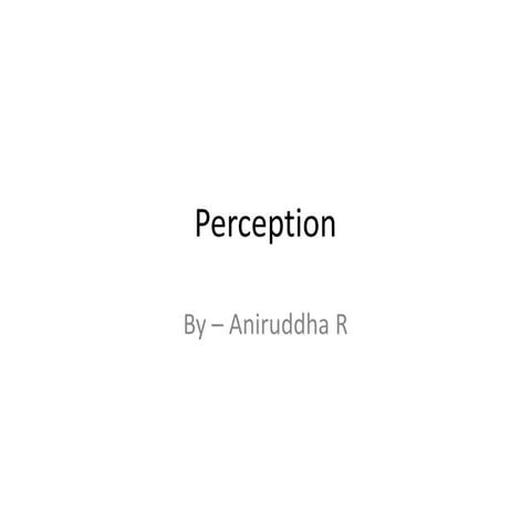 Perception | PPTX