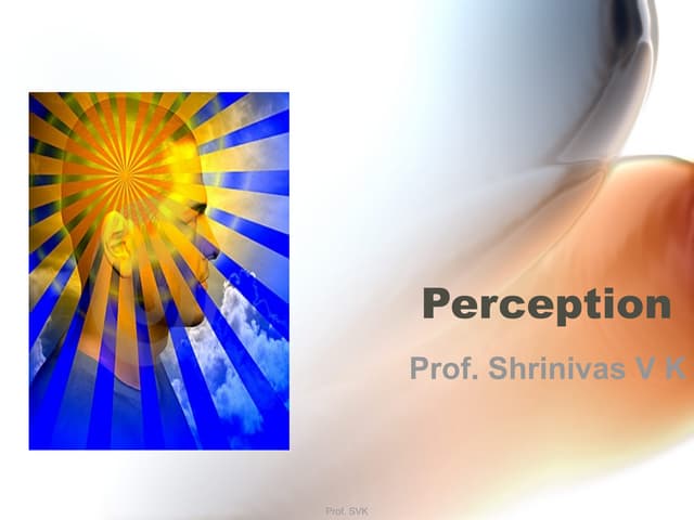 Perception in OB | PDF