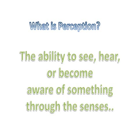 Perception | PPT