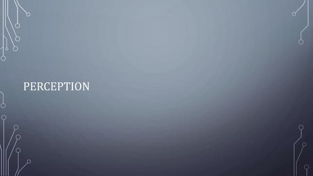 Perception - Psychology | PPTX