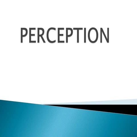 Perception | PPTX | Science