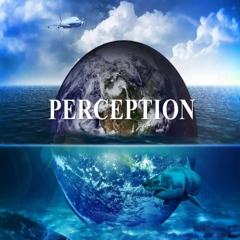 Perception | PPTX