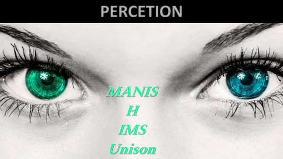 Perception | PPTX