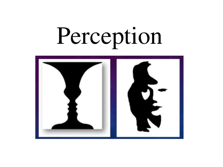 Perception