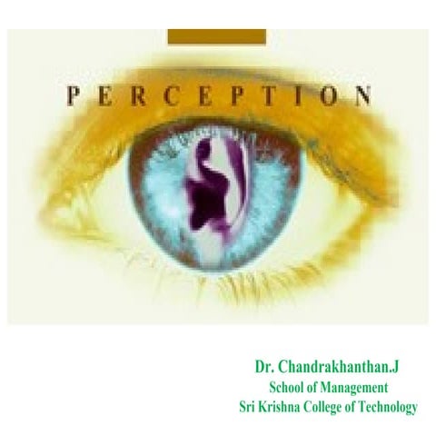 Perception | PPT