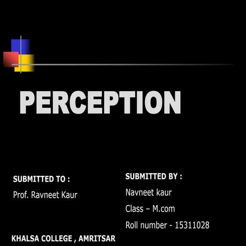 Perception | PPT
