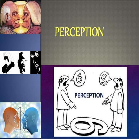 Perception in Psychology | PPT