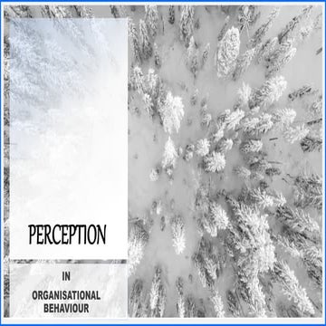 Perception - Organisational Behaviour | PPTX | Technology & Computing