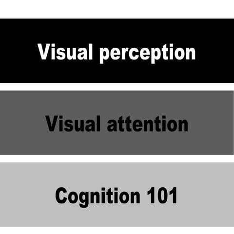 Perception attention-cognition | PPT