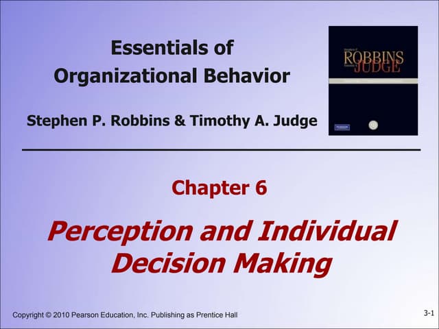 Organizational Behavior Chapter 5 Perception and Individual Decision ...