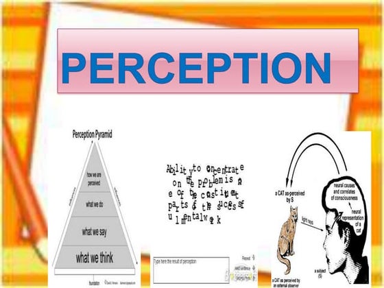 Perception and Sensation Presentation1 2003.ppt