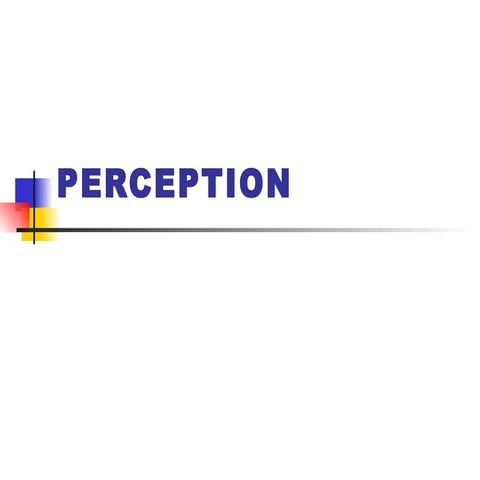 Perception | PPT