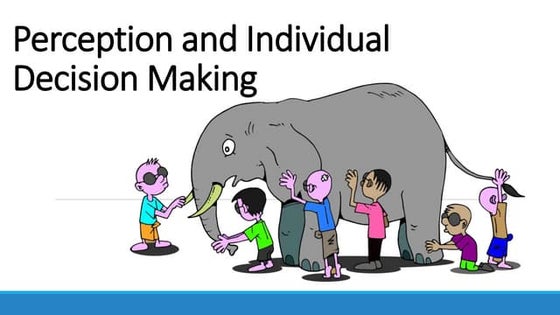 Summary Perception and Individual Decision Making | PDF