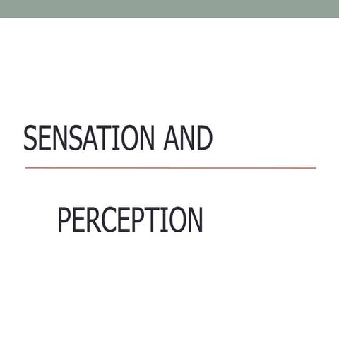 Perception and sensation | PPT