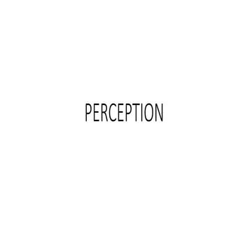 Presentation1-PERCEPTION | PPTX