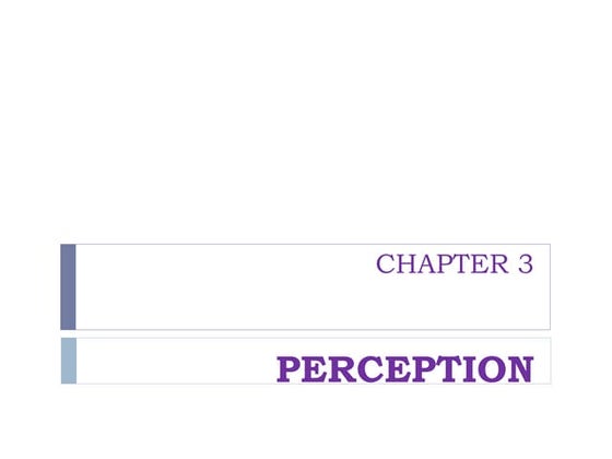 Perception - Organisational Behaviour | PPTX | Technology & Computing