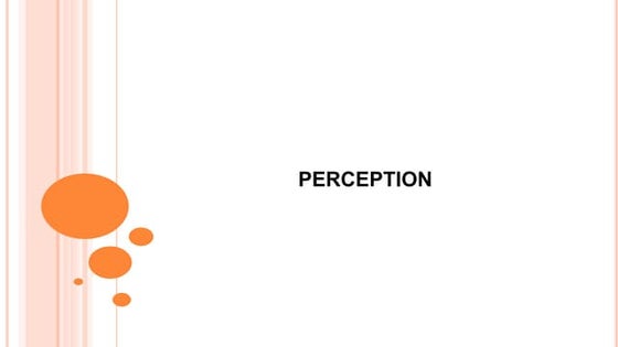 Perception- Psychology | PPT