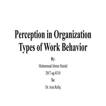 Perception in Organization.pptx