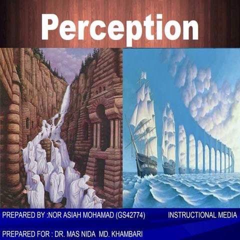 Perception(instructional media) | PPT | Science