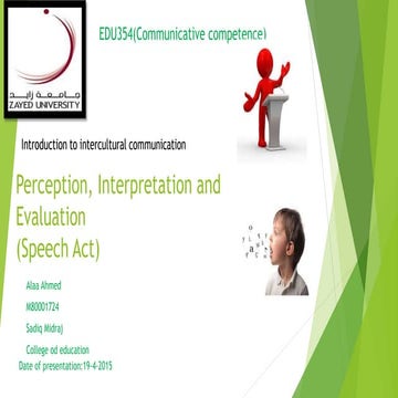 Perception,interpretation and evaluation | PPT
