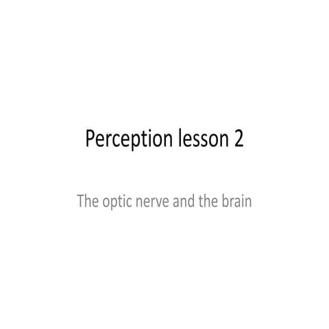 Perception lesson 2 | PPTX
