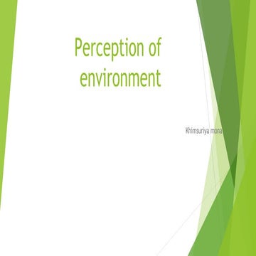 Understanding Environmental Perception: How We Experience and Interpret ...