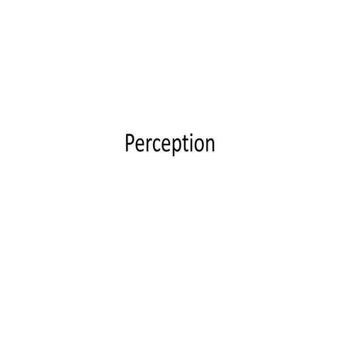 Perception pictures | PPTX