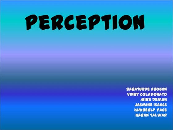 Perception ppt | PPT