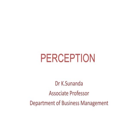 Perception | PPTX