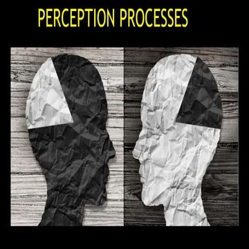perception processes | PPT