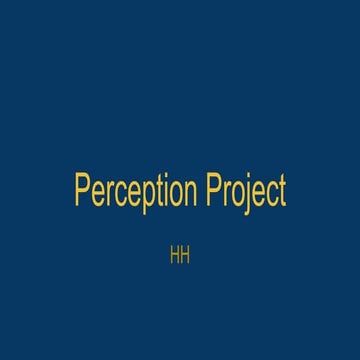 Perception Project.pdf