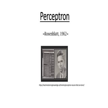 PERCEPTRON.pdf