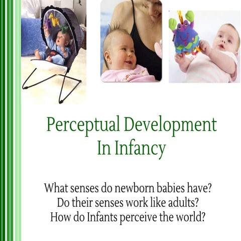 PerceptualDevelopment.pdf