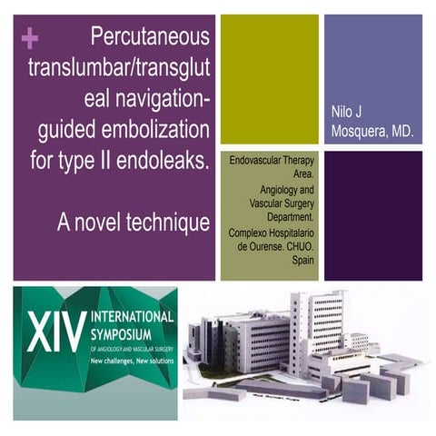 Percutaneous navigated embolization | PPTX