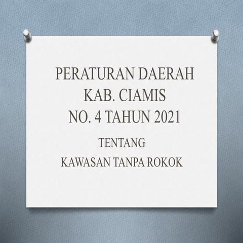 PERDA KTR PPT 2.pptx