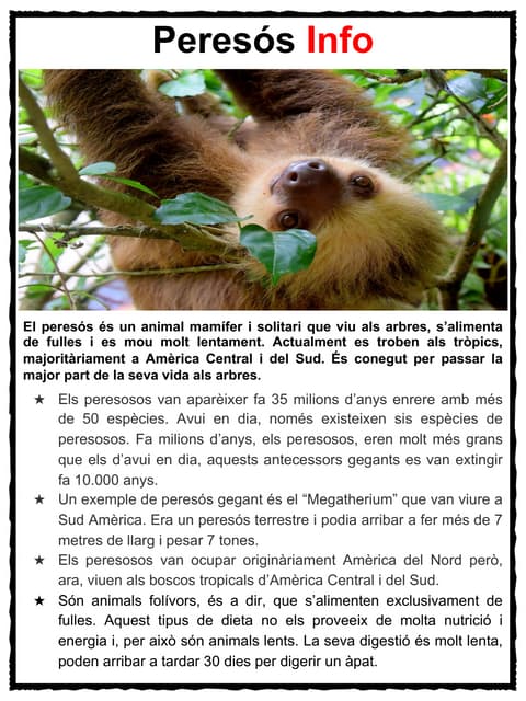 EL LEMUR.pdf