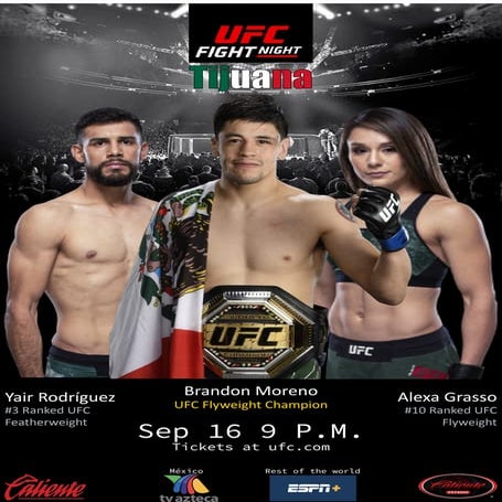 UFC poster | PDF | Boxing | Sports