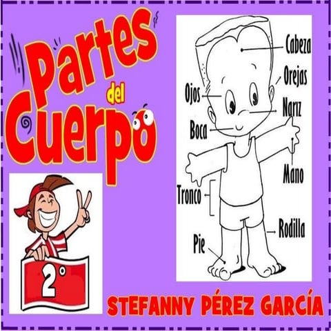 Partes de-la-cara1 | PDF