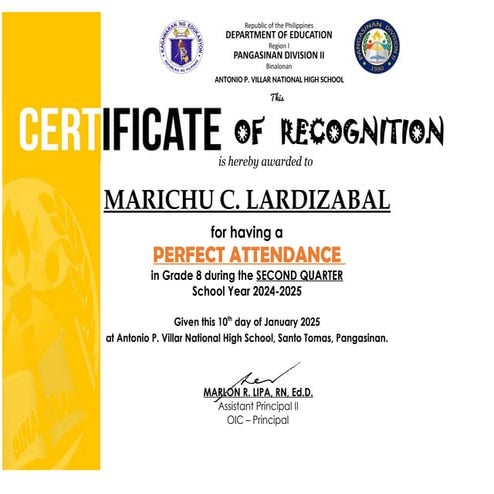 PERFECT ATTENDANCE CERTIFICATEdocxAPVNHS | DOCX
