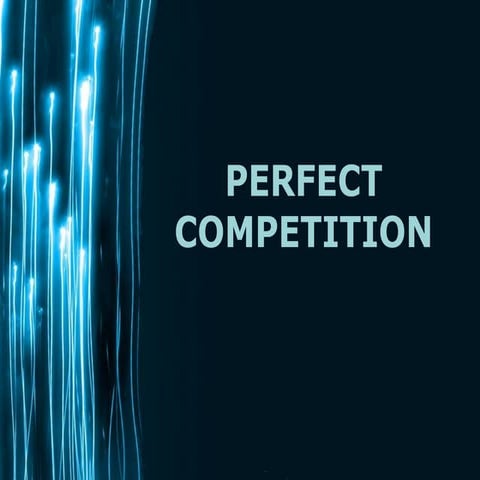 Economics Perfect Competition | PPT