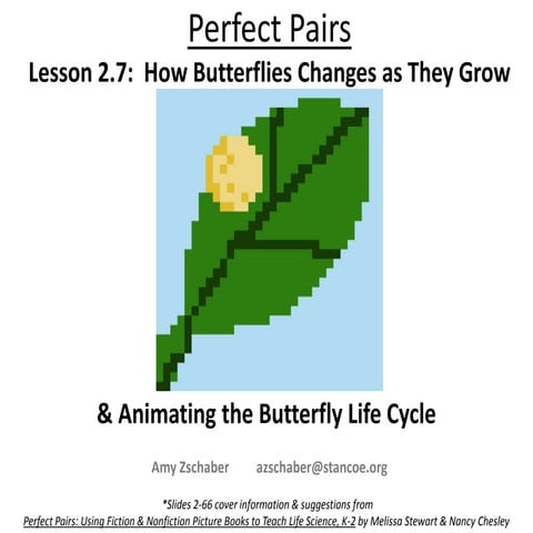 butterflies teacher guide | PPTX
