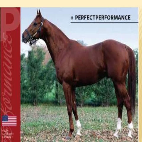 PERFECTPERFORMANCE | PPTX