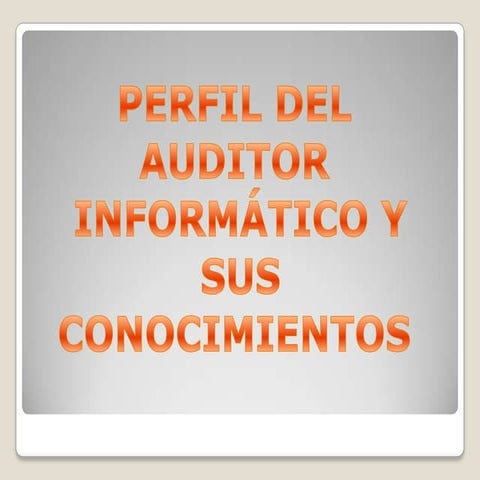 Perfil del auditor | PPTX | Computing | Technology & Computing