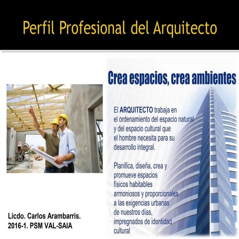 Guia de entrevista | PDF