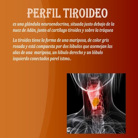 Perfil tiroideo | PPTX