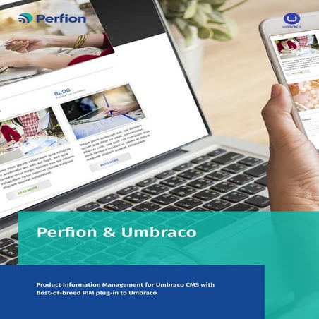 Perfion PIM and Umbraco | PDF | Web Development | Internet