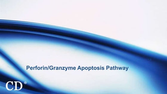 Non homologous end-joining pathway-creative diagnostic | PPTX