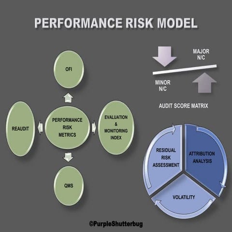 PERFORMANCE RISK MODEL | PPTX | Science
