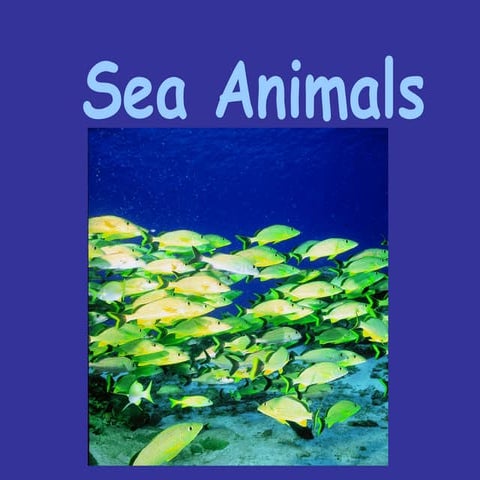 Performance sea animals | PPT | Zoos & Aquariums | Attractions