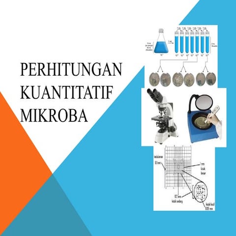 PERHITUNGAN KUANTITATIF MIKROBA (haemocytometer)(1).pptx
